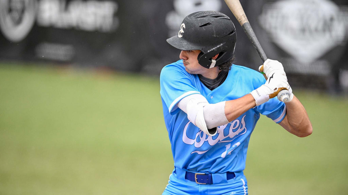 Torpedo Bats vs Regular Bats | Bowling Pin Baseball Bat – BRUCE BOLT